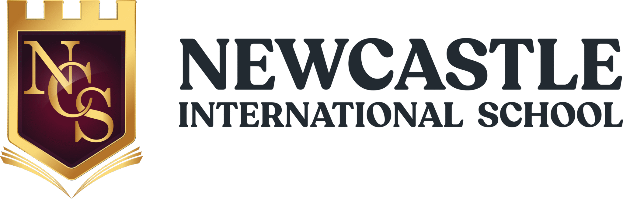 International School fees - New Castle